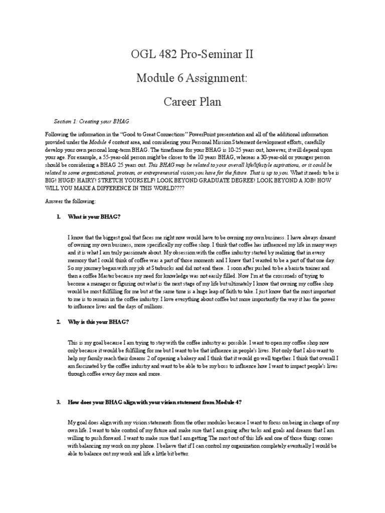 Module 6 Assignment Career Plan | PDF | Goal | Project Management