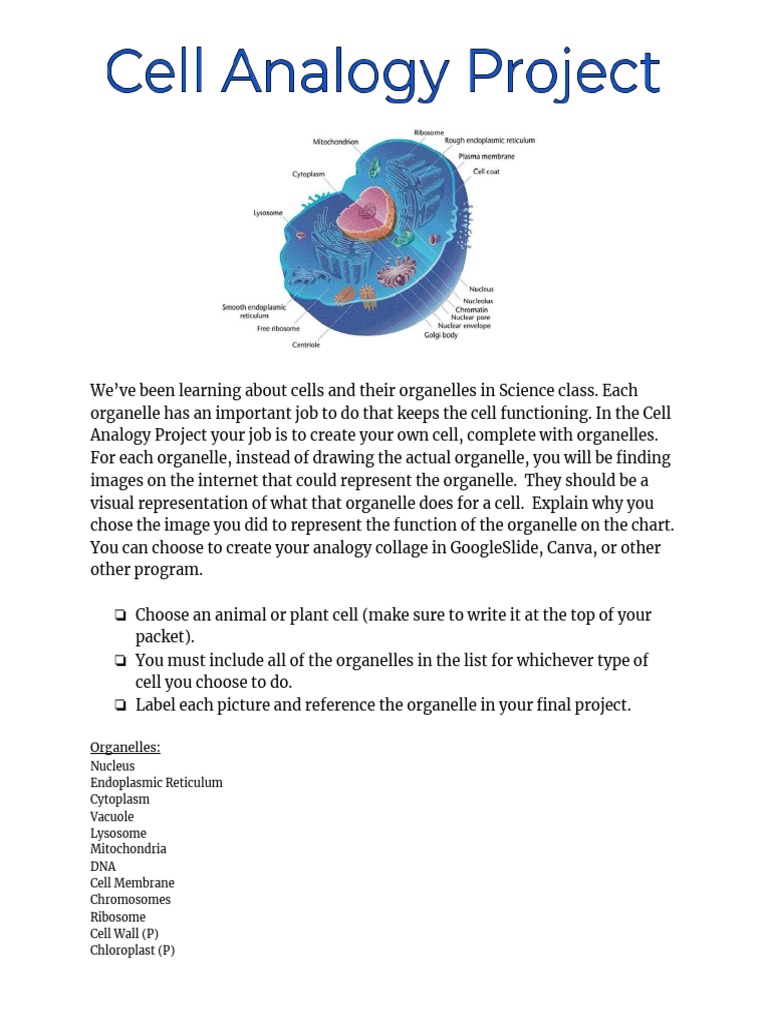 Cell Analogy Project | PDF | Computers | Technology & Engineering