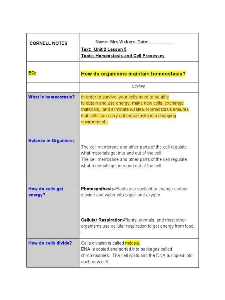 Cornell Notes - Unit 2 Lesson 5 Homeostasis and Cell Processes | PDF ...