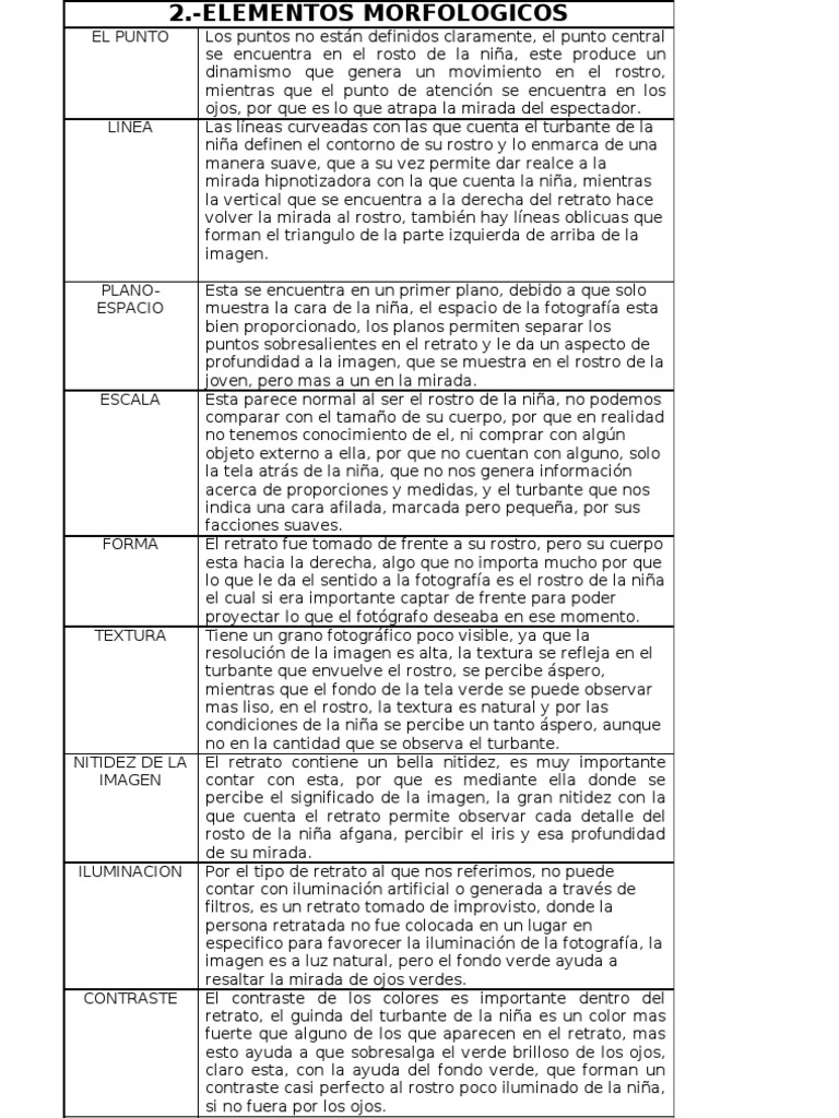 Elementos Morfologicos | PDF | Retrato | Ojo