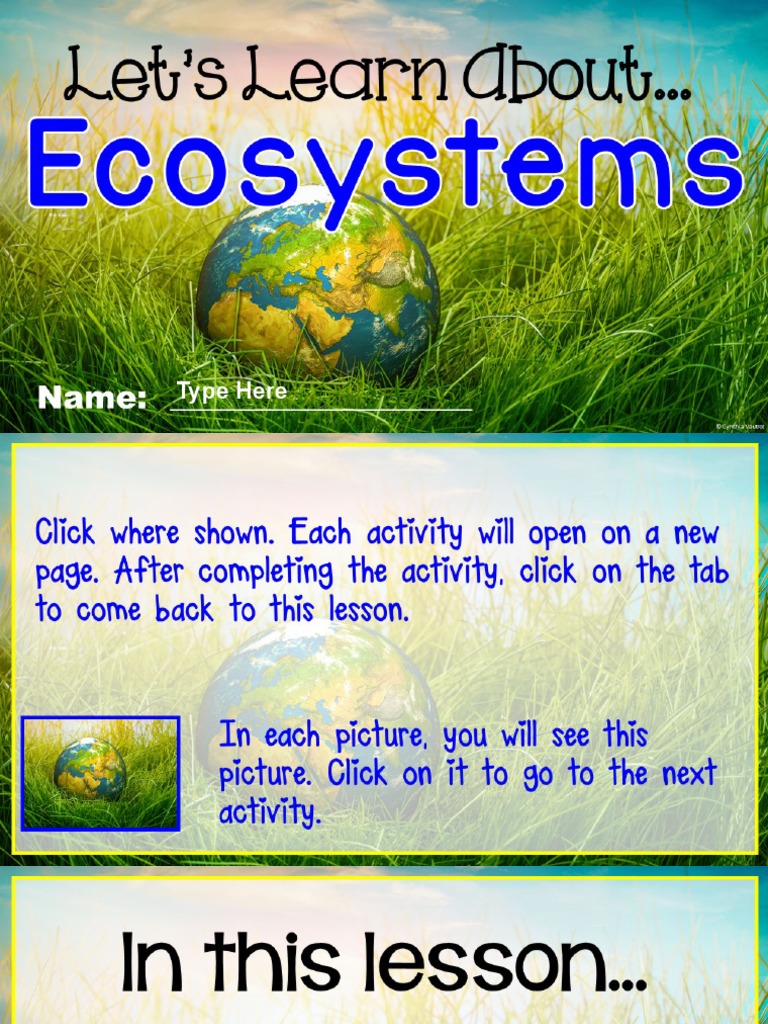 Lets Learn About Ecosystems Introduction | PDF