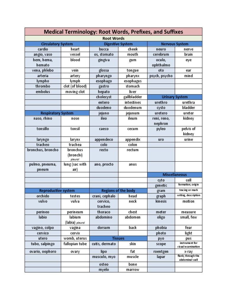 Medical Terminology, Prefix & Suffix | PDF | Abdomen | Organ (Anatomy)