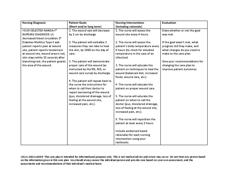 Diabetes-Mellitus-Type-II-Care-Plan Example | PDF | Wound | Nursing