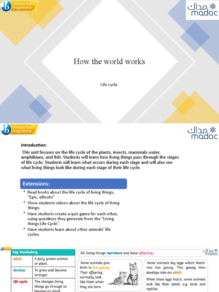 Understanding Life Cycles of Organisms | PDF