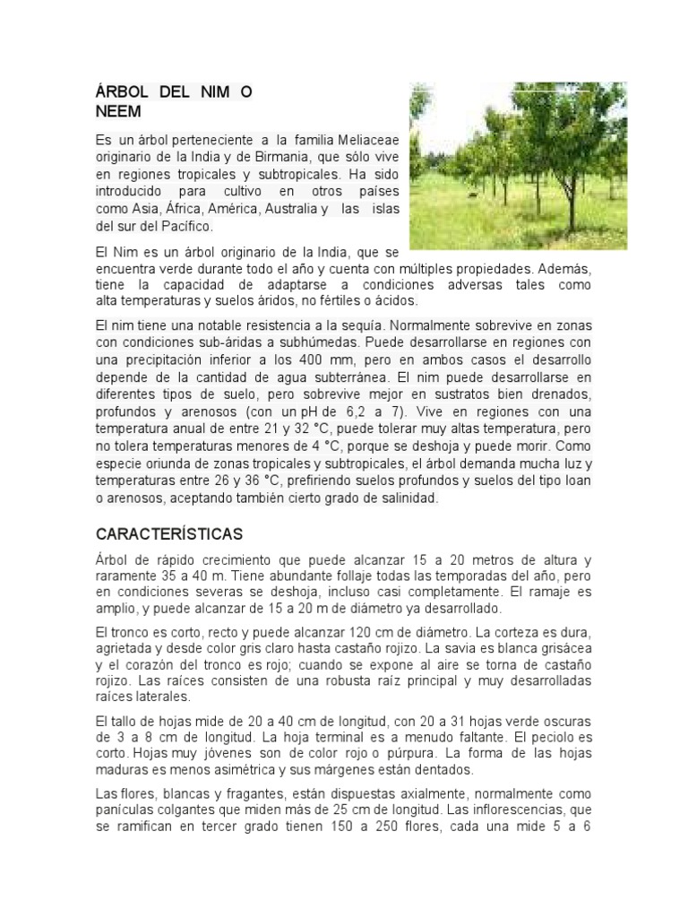 Árbol Del Nim o Neem | PDF | Especialidades Medicas | Medicina CLINICA
