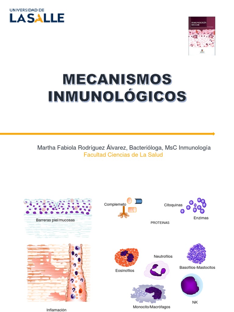 Fundamentos del Sistema Inmunológico | PDF | Sistema inmune | Linfocitos
