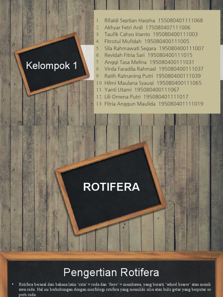Kel 1 Rotifera | PDF