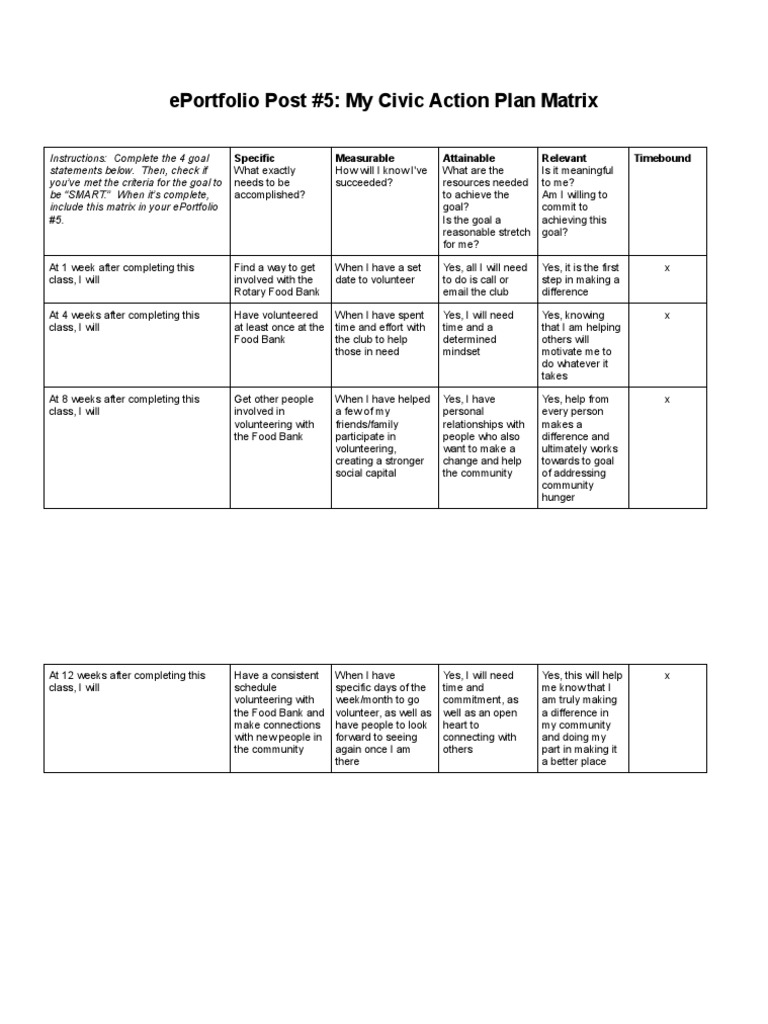 Final Post 5 My Civic Action Plan Matrix | PDF | Goal | Behavior ...