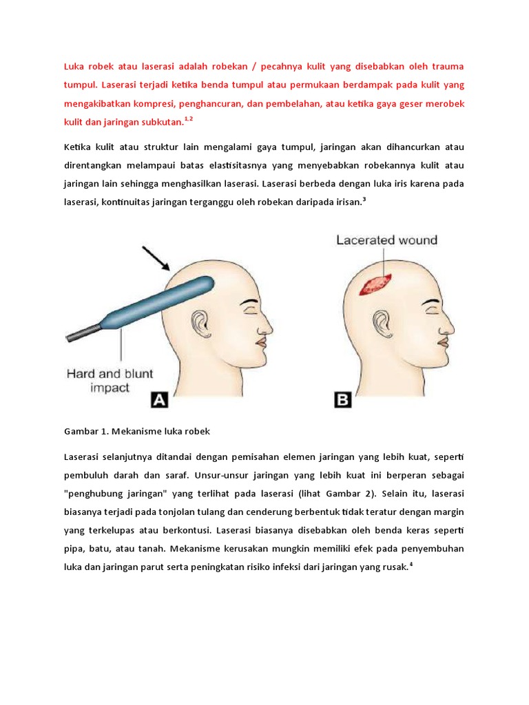 Mekanisme Luka Robek | PDF