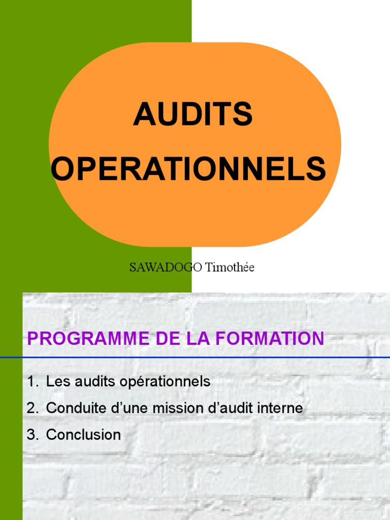 Audits opérationnels : Guide complet | PDF | Audit | Comptabilité