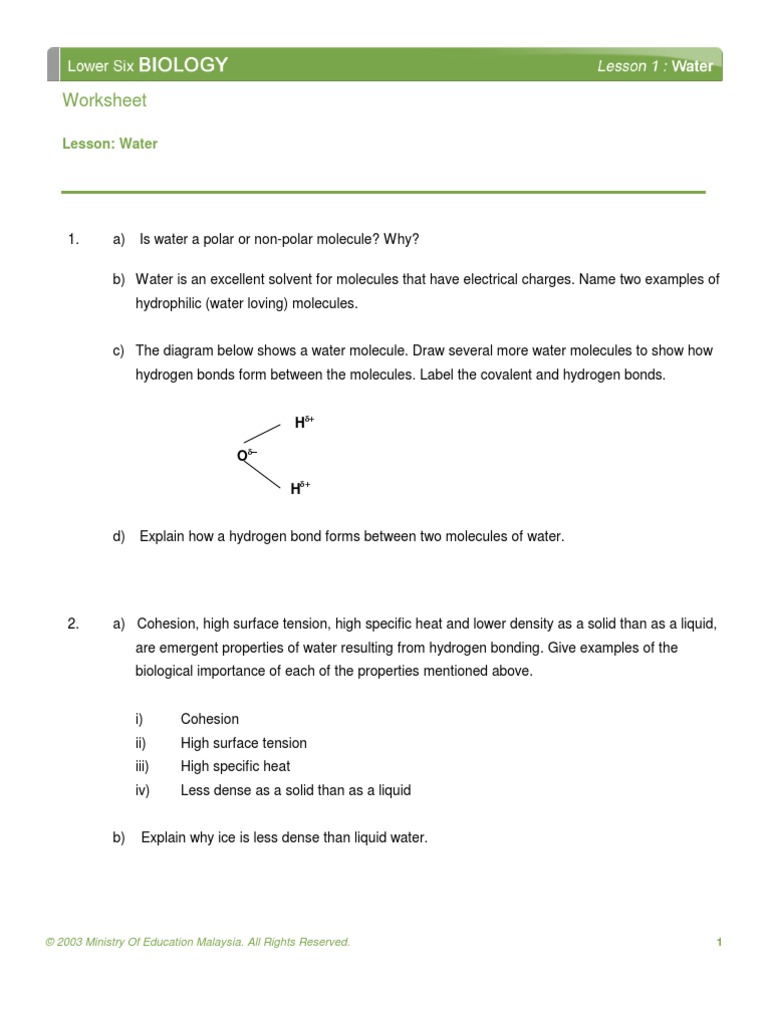 Worksheet: Lesson: Water | PDF