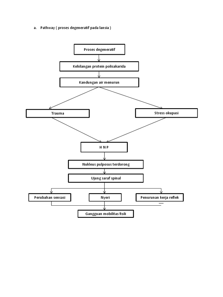 Pathway Degeneratif Pada Lansia | PDF