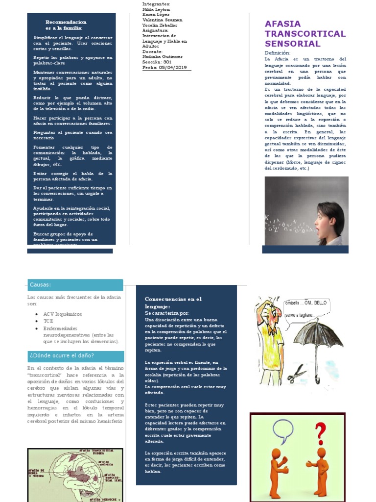 Triptico Afasia Transcortical Sensorial | PDF | Afasia | Enfermedades y trastornos