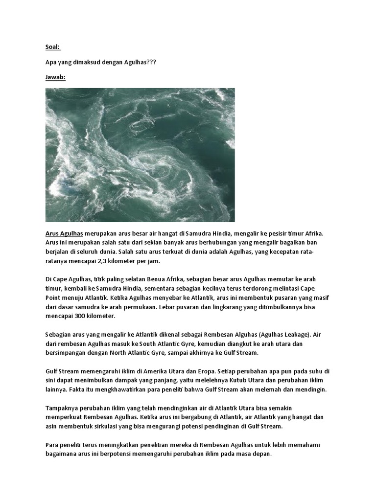 Arus Agulhas | PDF