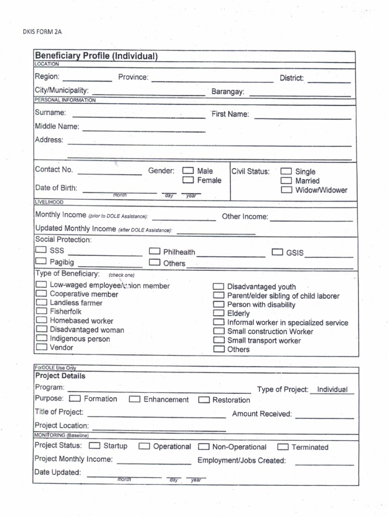 DKIS Form 2A-Individual | PDF