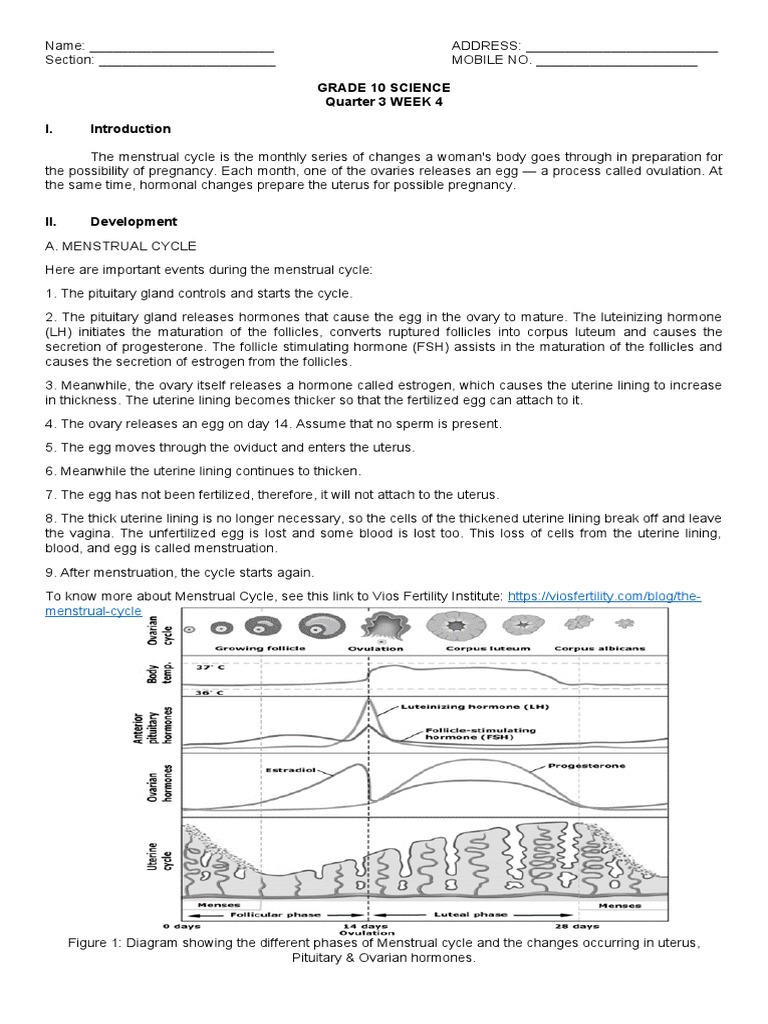 Grade 10 Science Quarter 3 WEEK 4 I.: Menstrual-Cycle | PDF | Menstrual Cycle | Luteinizing Hormone