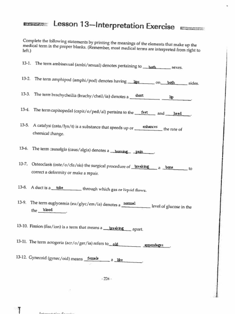 Kami Export - Ava Penland - Lesson 13 Interpretive Exercise | PDF ...