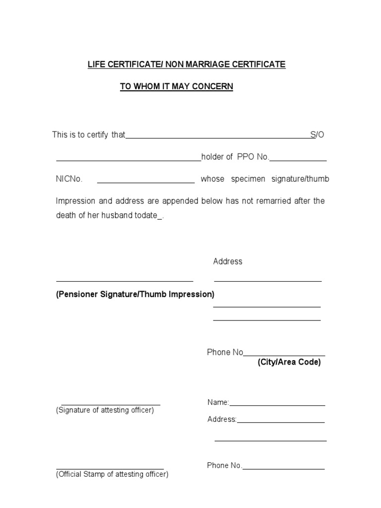 No Marriage Certificate | PDF