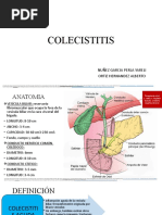 Irrigacion Del Recto | PDF