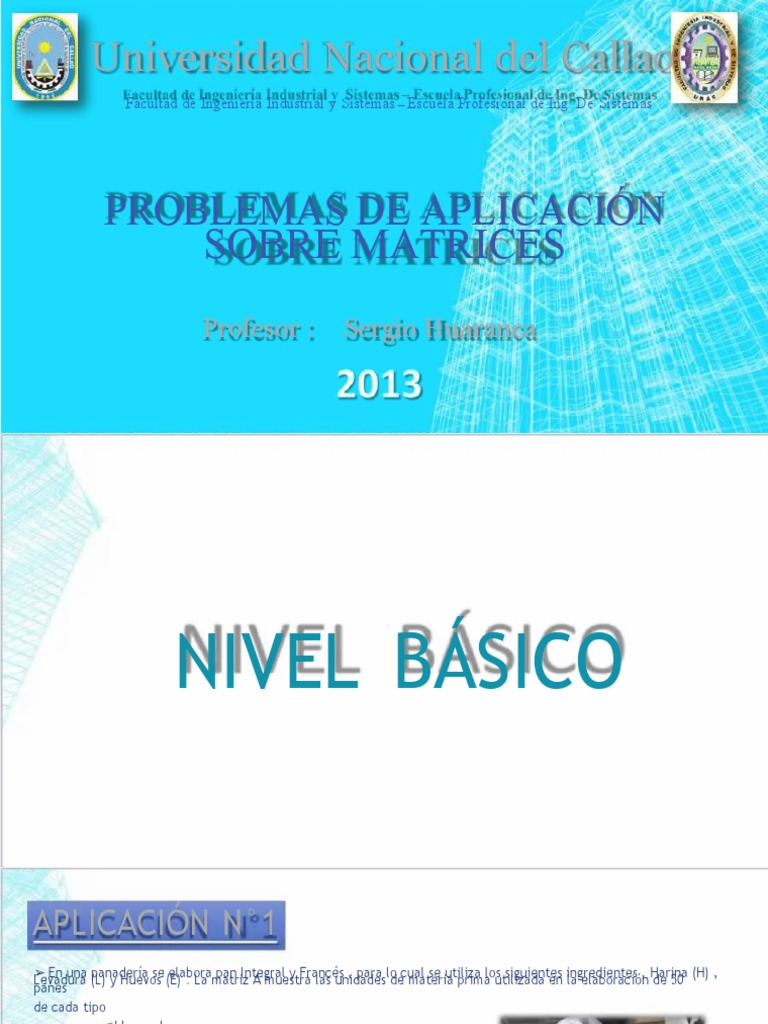PDF Problemas de Aplicacion Con Matrices DL | PDF | Matriz (Matemáticas) | Ecuaciones