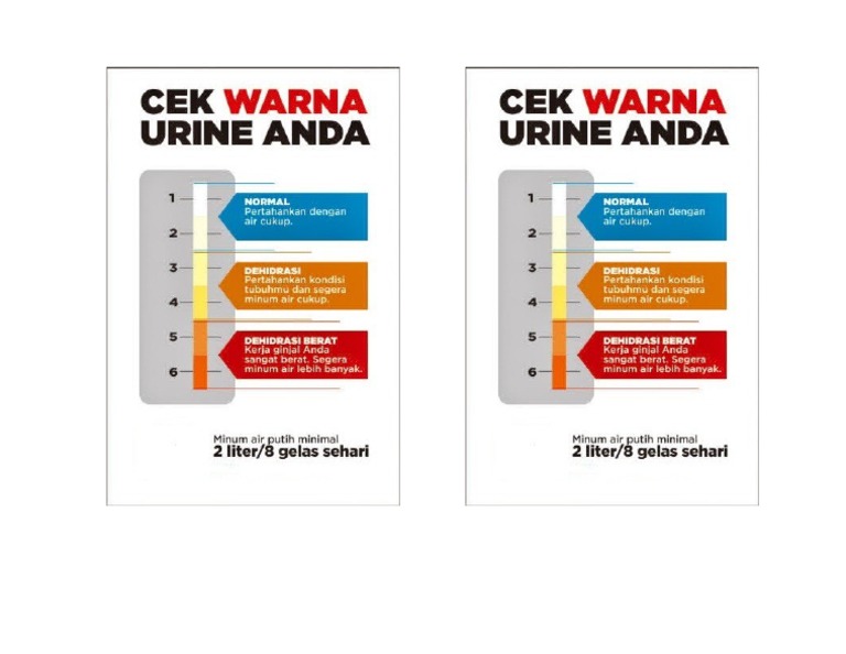 Cek Urine | PDF