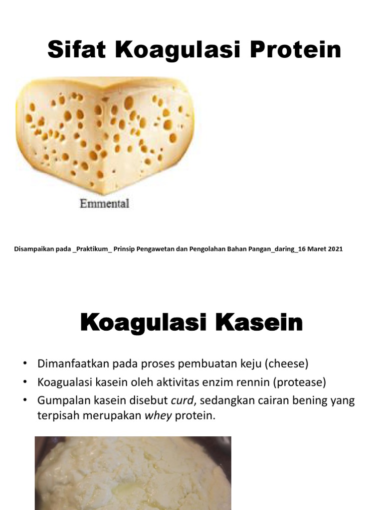 Praktikum.2. Responsi Sifat Fungsional Protein | PDF | Kesehatan ...