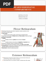 Flexor Extensor Retinaculum of The Hand | PDF | Thumb | Hand