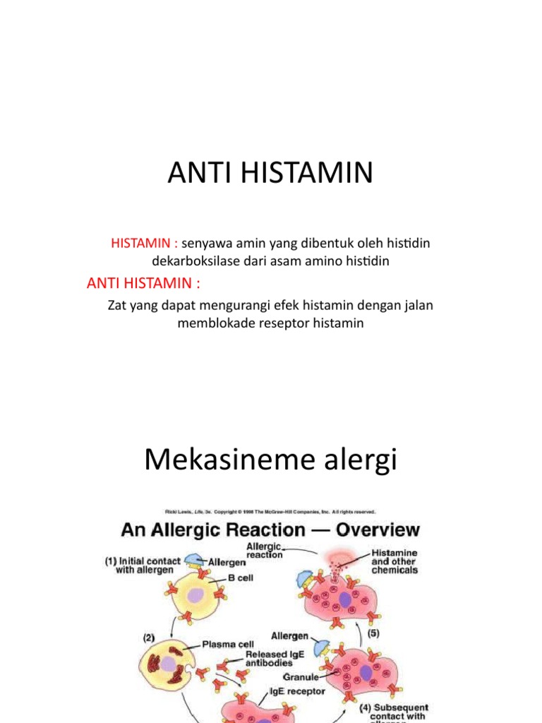 Anti Histamin | PDF