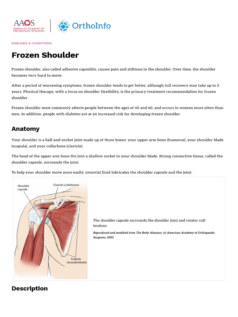 Frozen Shoulder - Adhesive Capsulitis - OrthoInfo - AAOS | PDF ...