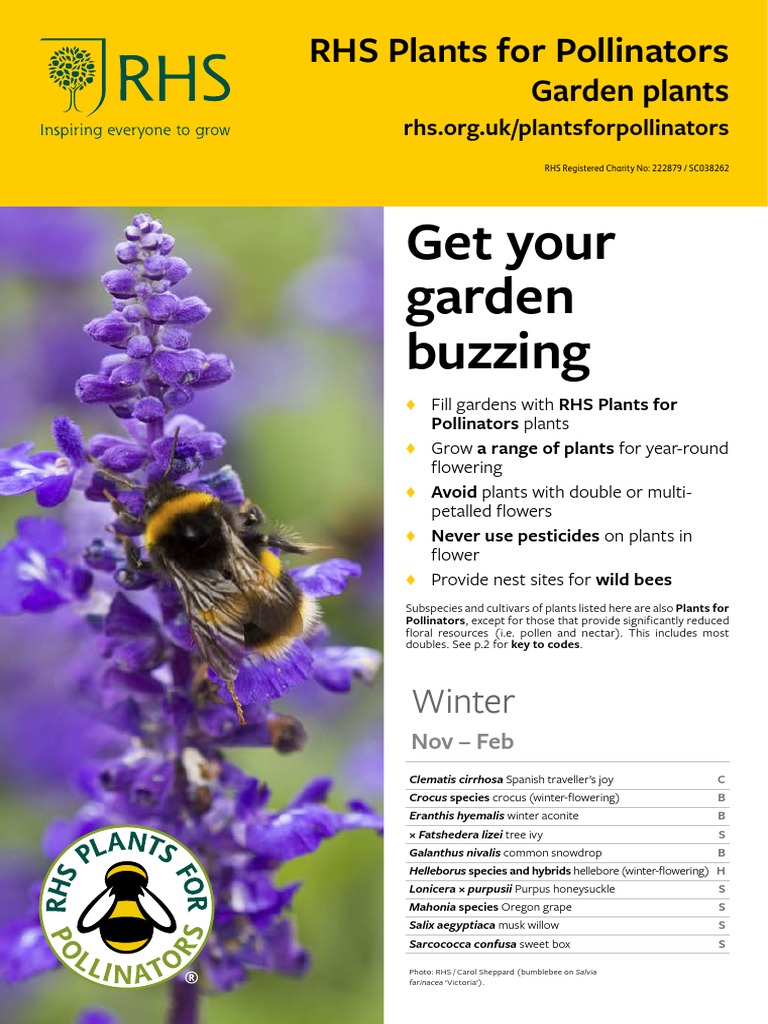 RHS Guide: Plants for Pollinators | PDF | Lavandula | Pollinators