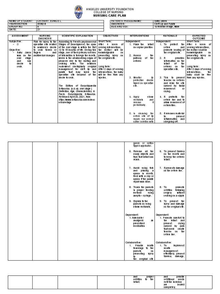 Nursing Care Plan for an Infant with Cleft Lip and Palate Focusing on ...