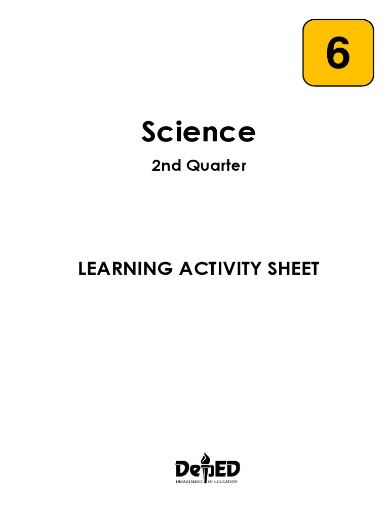 Grade 6 Q2 Science LAS | PDF | Human Body | Lung