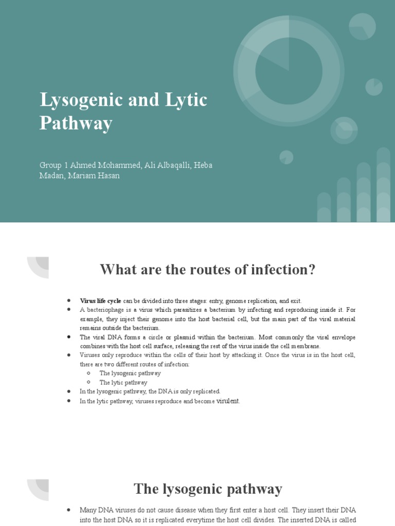 Lysogenic Pathway | PDF | Virology | Virus
