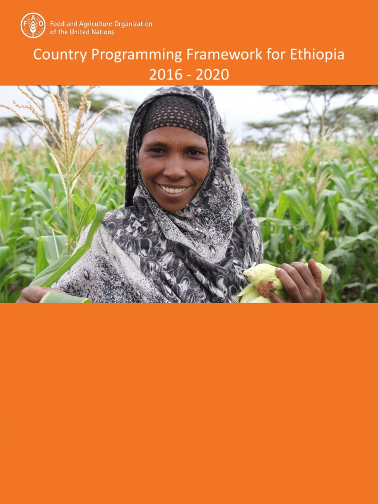 Country Programming Framework For Ethiopia 2016 - 2020 | PDF | Food And ...