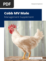 Cobb 500 Broiler Performance Guide 2022 | PDF | Broiler | Amino Acid
