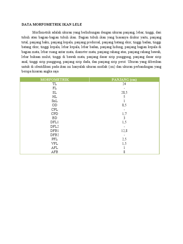 Data Morfometrik Dan Meristik Ikan Lele | PDF