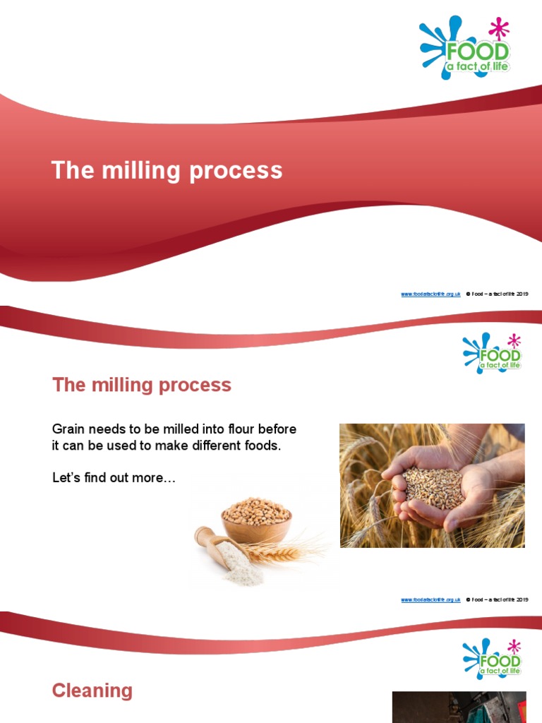 The Milling Process PPT 711fcc | PDF | Flour | Staple Foods