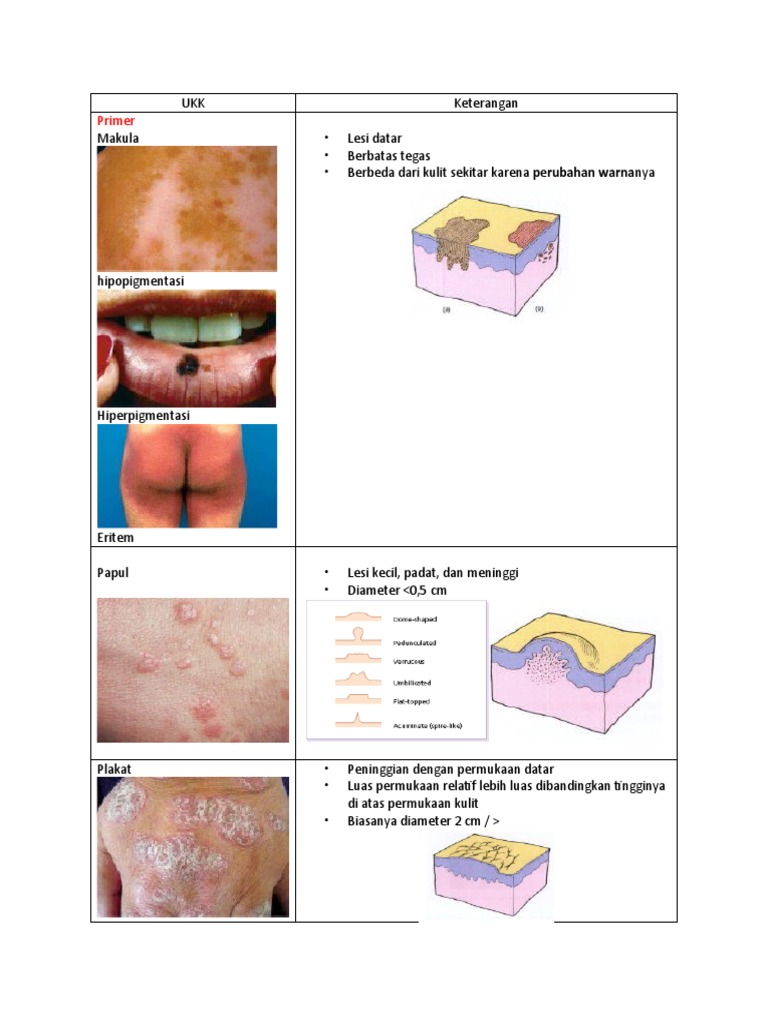Keterangan singkat tentang UKK kulit | PDF