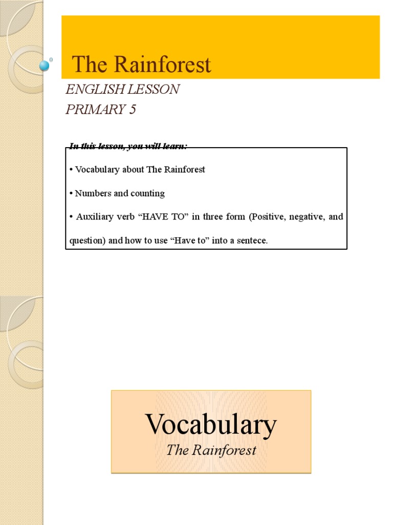 English Rainforest | PDF