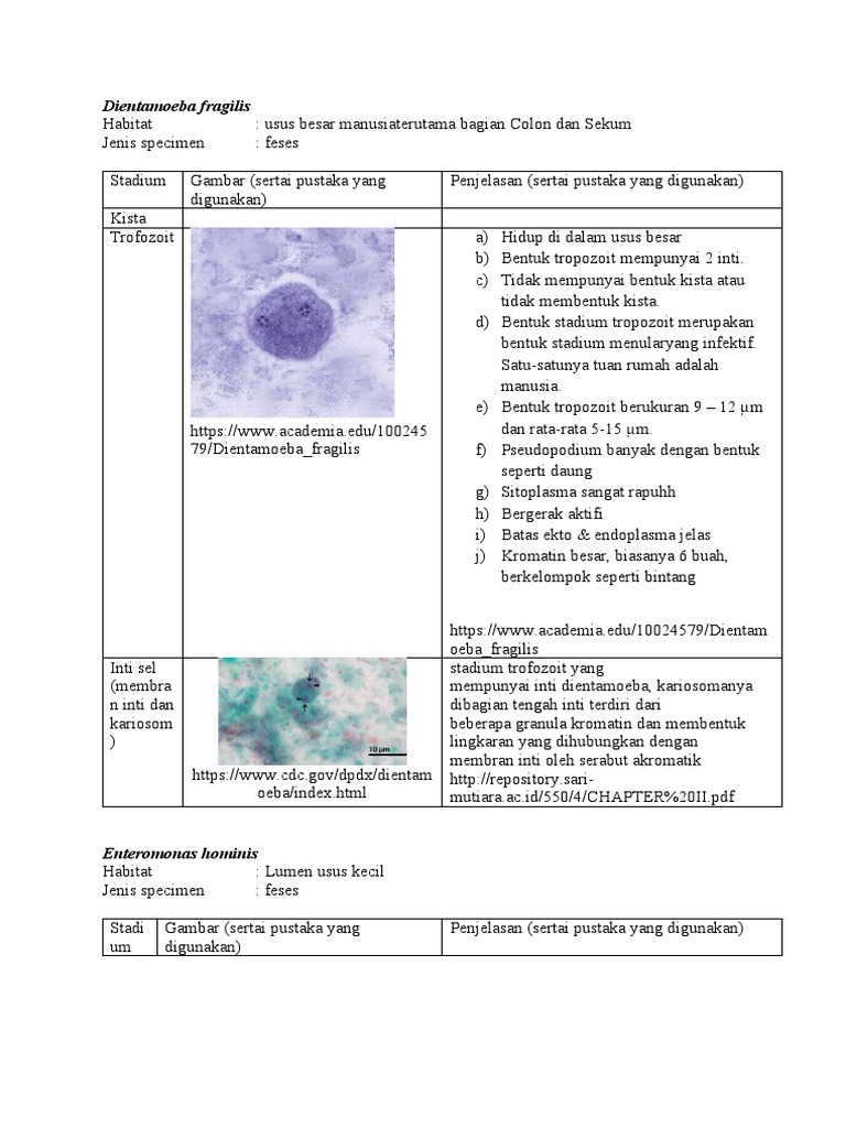 Parasit Usus: Dientamoeba & Lainnya | PDF | Sains & Matematika