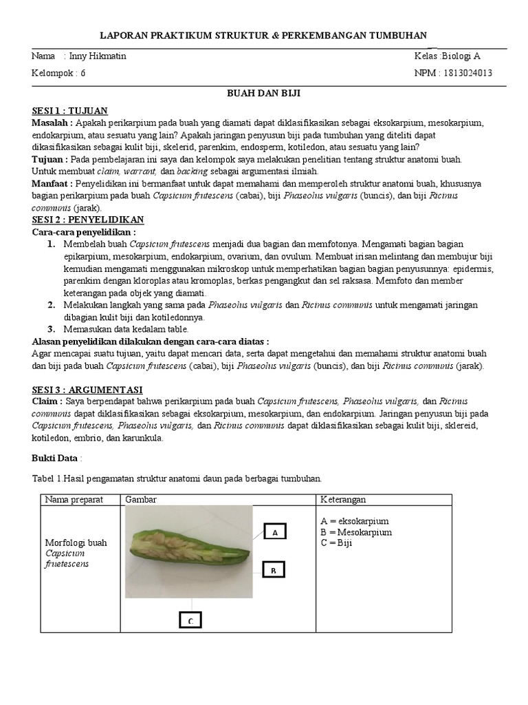 Struktur Anatomi Buah dan Biji Tumbuhan | PDF | Sains & Matematika