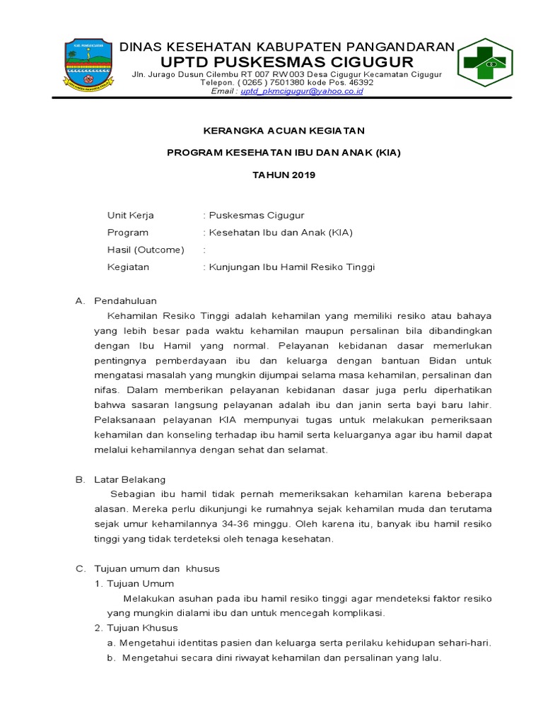 Kak Bumil Risti | PDF | Kesehatan Holistik