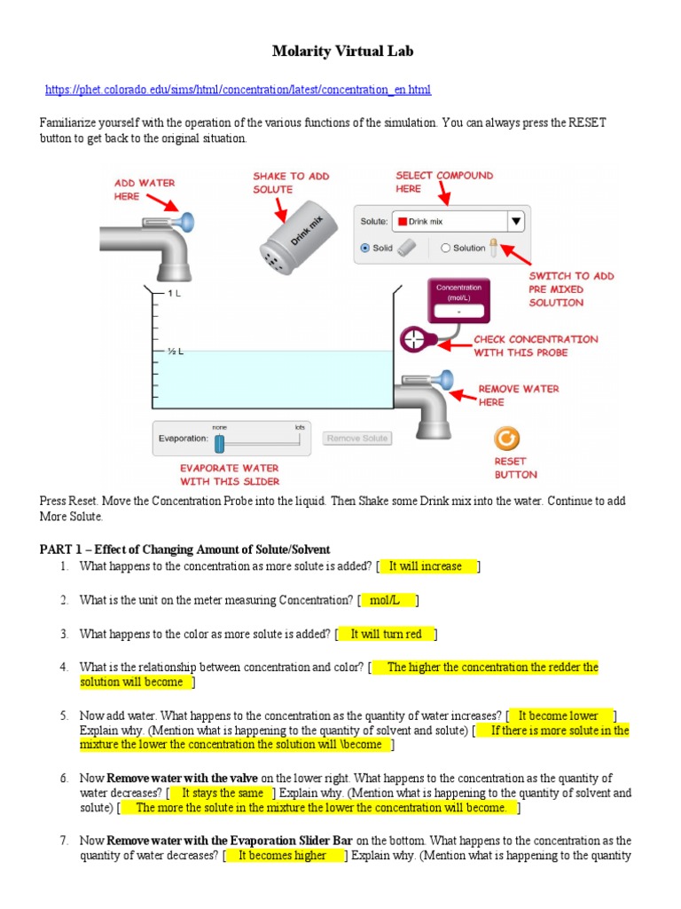 Molarity Lab: Solute and Solvent Effects | PDF | Concentration | Solution