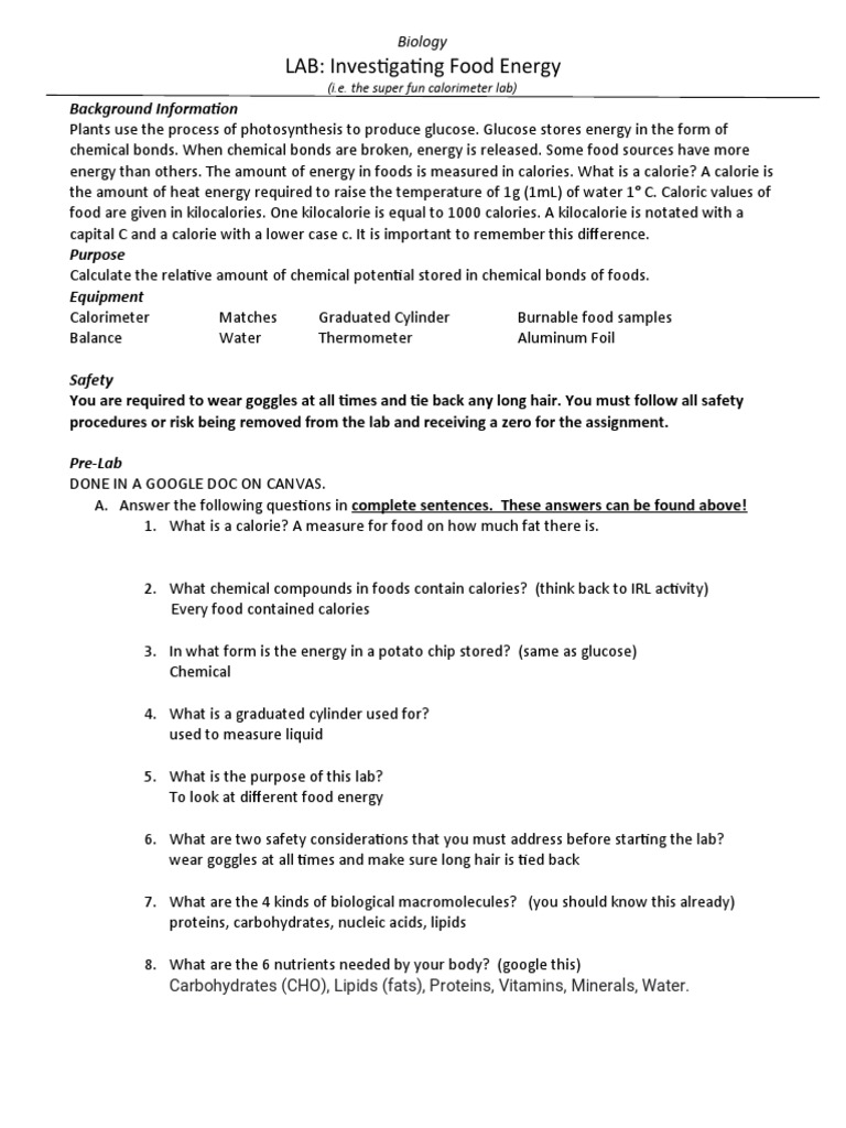 LAB: Investigating Food Energy: Background Information | PDF | Calorie ...
