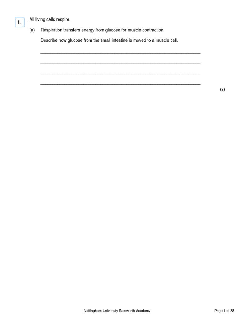 Page 1 of 38 Nottingham University Samworth Academy | PDF ...