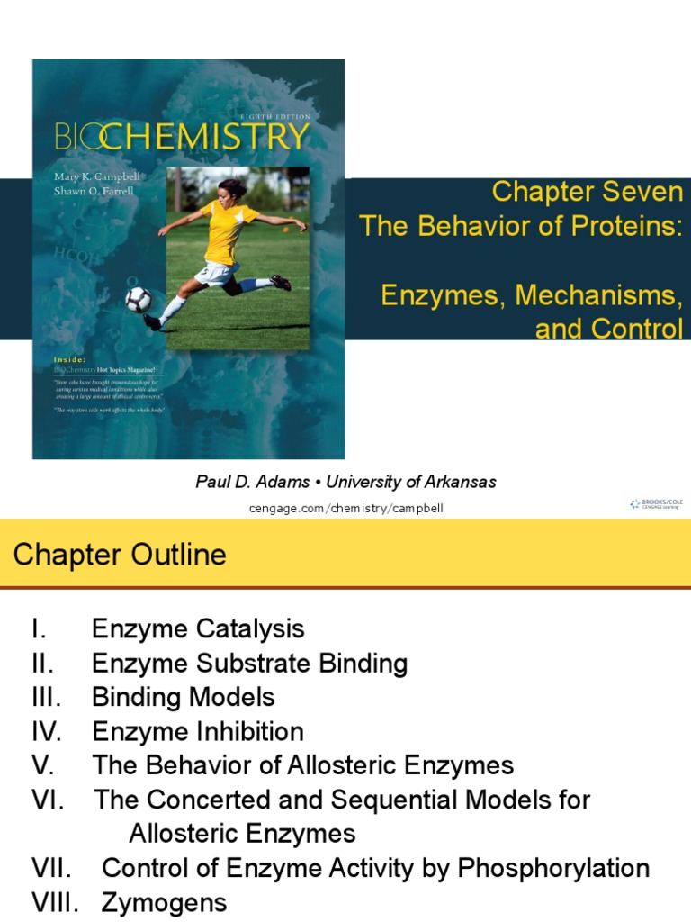 Chapter Seven The Behavior of Proteins: Enzymes, Mechanisms, and ...
