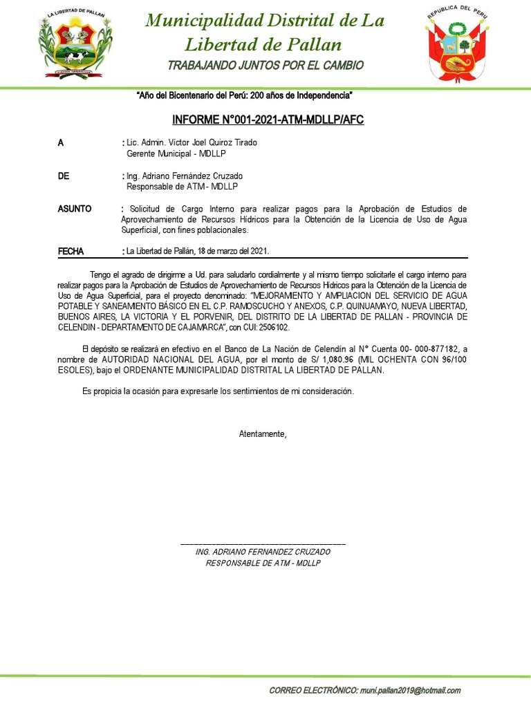 Informe Cargo Interno | PDF