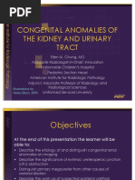 UTD Classification for Radiologists | PDF | Radiology | Urology