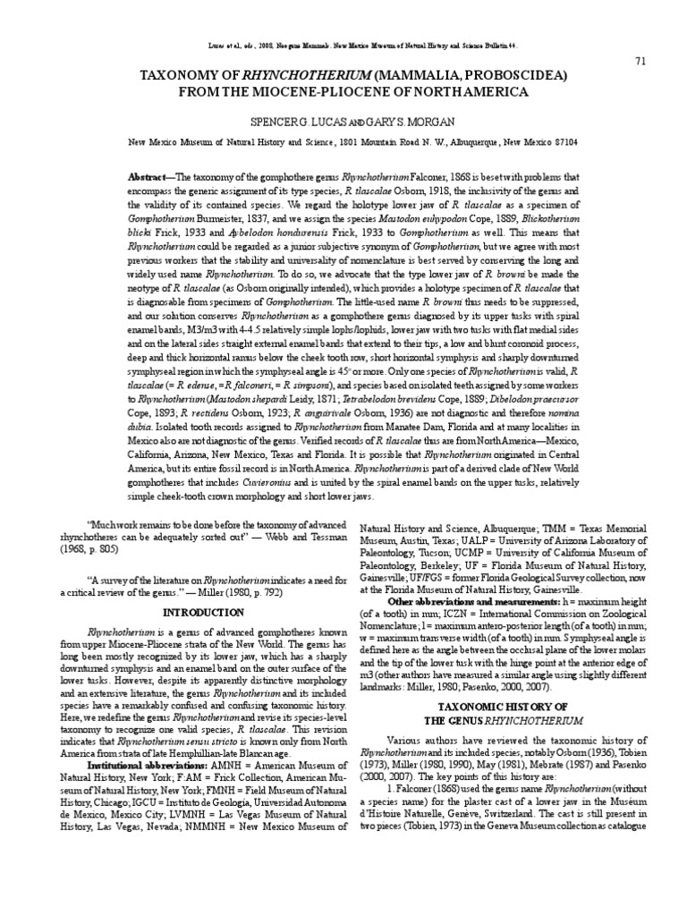Taxonomy of Rhynchotherium (Mammalia, Proboscidea) From The Miocene ...