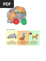 Competencia Intraespecífica - Interespecífica. | PDF | Depredación ...
